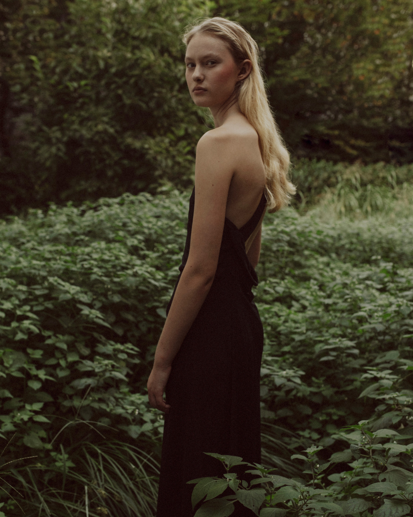 Janika | Agency Icon